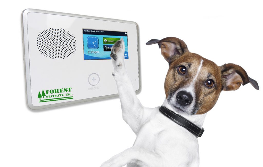 Unexpected Activity Alerts | Forest Security