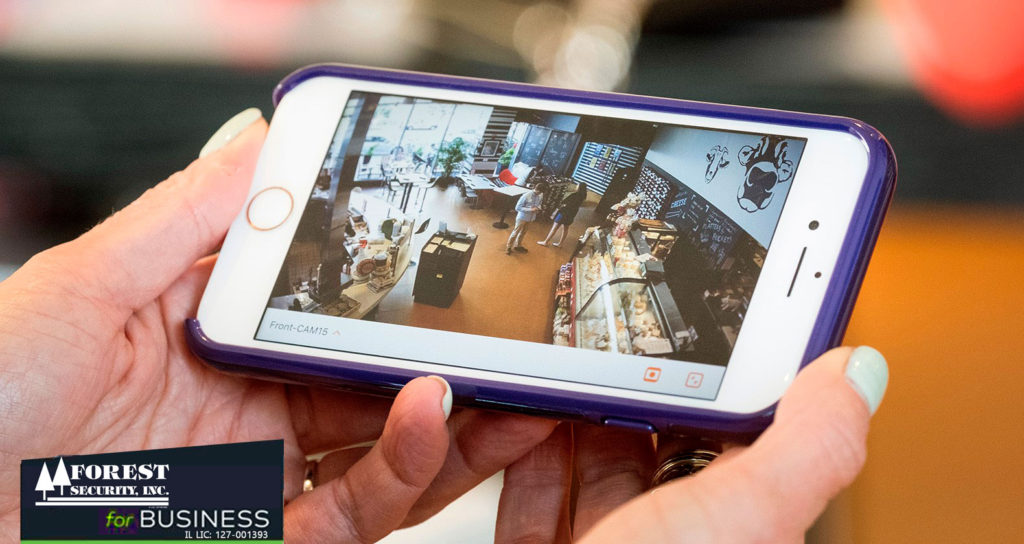 What makes Forest’s Business Security System Smart? | Forest Security