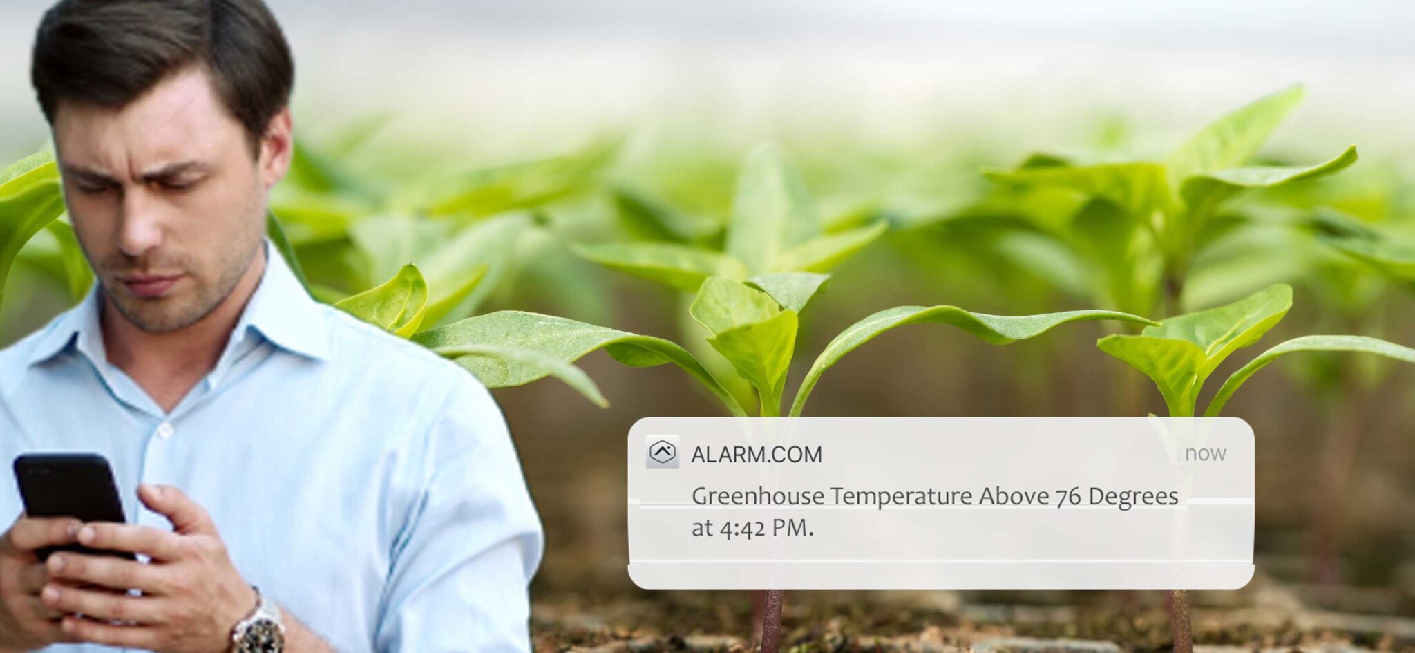 Protecting Inventory from The Danger Zone | Forest Security